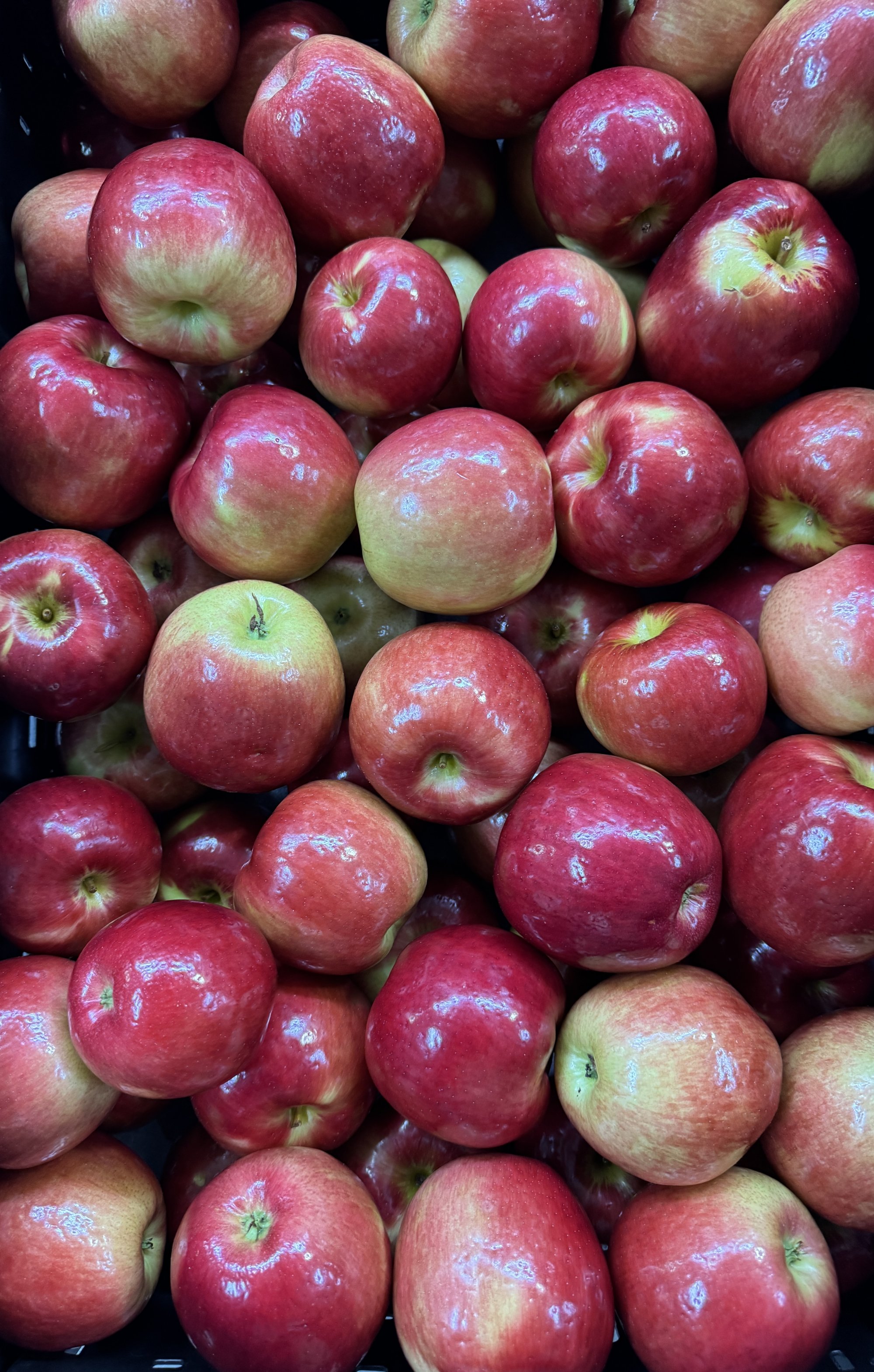 Rave Apple Available Now! - Sunrise Orchards